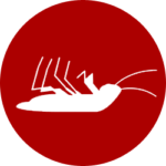 24 Hour Emergency Pest Control & Exterminator in Queens NY